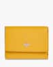 Buy Yellow Wallets for Women by Accessorize London Online | Ajio.com
