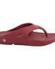 Buy Maroon Flip Flop & Slippers for Women by NEOZ Online | Ajio.com