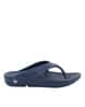 Buy Navy Flip Flop & Slippers for Women by NEOZ Online | Ajio.com