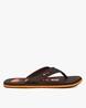 Buy Brown Flip Flop & Slippers for Men by DUKE Online | Ajio.com