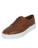 Buy Brown Casual Shoes for Men by CLARKS Online | Ajio.com