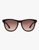 Buy Brown Sunglasses for Men by FRENCH CONNECTION Online | Ajio.com