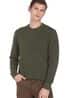 Buy Olive Sweaters & Cardigans for Men by ARROW Online | Ajio.com