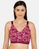 Buy Maroon Bras for Women by Zivame Online | Ajio.com