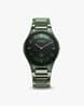 Buy TITAN 1696QC06 Analogue Watch with Butterfly Clasp | Green Color ...