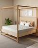 Buy White Mattresses for Home & Kitchen by PORTICO Online | Ajio.com