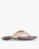 Buy Tan Flip Flop & Slippers for Women by CATWALK Online | Ajio.com