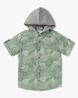 Buy Olive Shirts for Boys by POINT COVE Online | Ajio.com