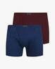 Buy Multicoloured Boxers for Men by NETPLAY Online | Ajio.com