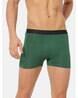 Buy Green Trunks for Men by Bummer Online | Ajio.com