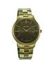 Buy TITAN 90142QM03 Titan Classique Slimline Green Dial Stainless Steel ...