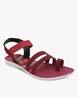 Buy Maroon Flat Sandals for Women by SILK FEET Online | Ajio.com