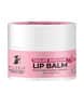 Buy multi Lips for Women by PILGRIM Online | Ajio.com