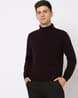 Buy Maroon Sweaters & Cardigans for Men by NETPLAY Online | Ajio.com