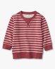 Buy Maroon Sweatshirts & Jacket for Infants by MUJI Online | Ajio.com