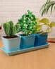 Buy Turquoise Gardening & Planters for Home & Kitchen by HOMESAKE ...