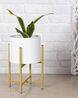 Buy Gold-Toned Gardening & Planters for Home & Kitchen by HOMESAKE ...