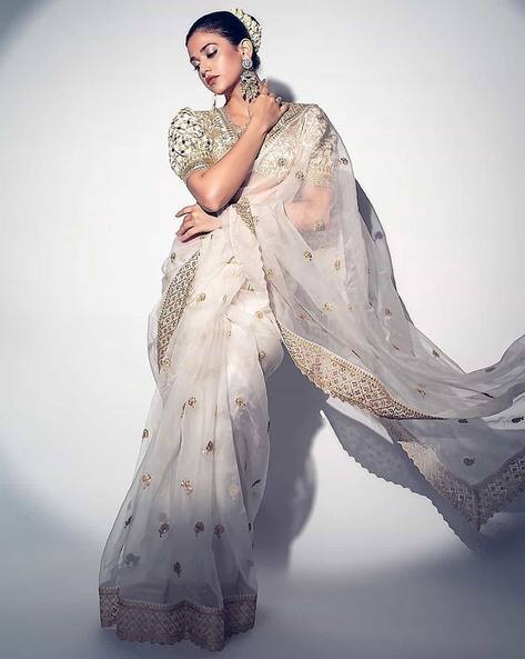 Sheer-Through Saree with Embroidery - Price History