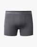 Buy Grey Trunks for Men by NETPLAY Online | Ajio.com