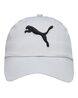 Buy Platinum Gray Caps & Hats for Boys by PUMA Online | Ajio.com