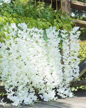 Buy White Gardening Planters for Home Kitchen by HOMESAKE Online Ajio