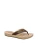 Buy Brown Flip Flop & Slippers for Women by INBLU Online | Ajio.com