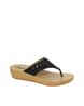 Buy Black Flip Flop & Slippers for Women by INBLU Online | Ajio.com