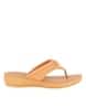 Buy Beige Flip Flop & Slippers for Women by INBLU Online | Ajio.com