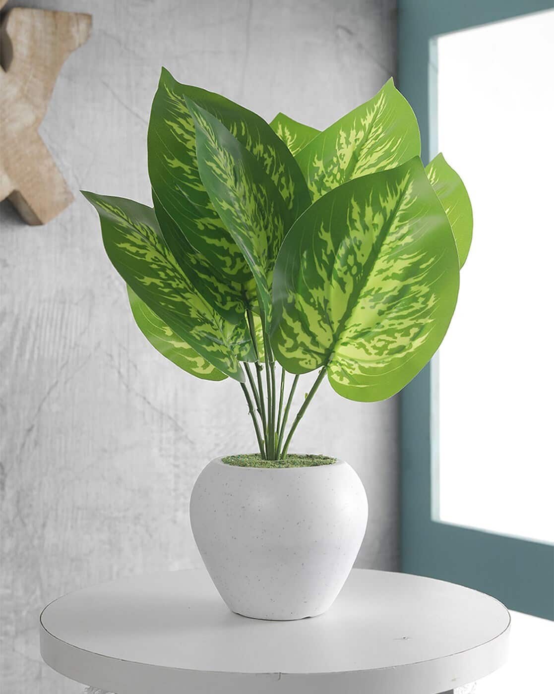 Buy Green Gardening Planters for Home Kitchen by Foliyaj Online Ajio