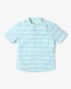 Buy Bachelor Shirts for Boys by POINT COVE Online | Ajio.com