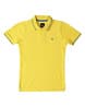 Buy Yellow Tshirts for Boys by ALLEN SOLLY Online | Ajio.com