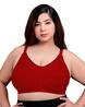 Buy Maroon Bras for Women by MAROON Online | Ajio.com