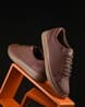 Buy Rust Sneakers for Men by SPYKAR Online | Ajio.com