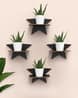 Buy Black Wall & Table Decor for Home & Kitchen by Home Sparkle Online ...