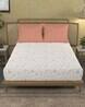 Buy Peach Bedsheets for Home & Kitchen by MYTRIDENT Online | Ajio.com