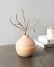 Buy Peach Vases for Home & Kitchen by DECOR DE MAISON Online | Ajio.com