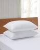 Buy White Cushions & Pillows for Home & Kitchen by PUMPUM Online | Ajio.com