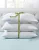 Buy White Cushions & Pillows for Home & Kitchen by PUMPUM Online | Ajio.com