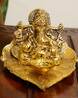 Buy Gold Showpieces & Figurines for Home & Kitchen by INTERNATIONAL ...