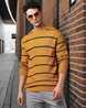 Buy Mustard Yellow Sweaters & Cardigans for Men by NETPLAY Online ...