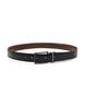 Buy BROWN Belts for Men by Aldo Online | Ajio.com