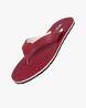 Buy Maroon Flip Flop & Slippers for Women by FEET UP Online | Ajio.com