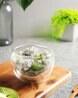 Buy Glass Kitchen Tools for Home & Kitchen by Naturally Yours Online ...