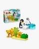 Buy Multicoloured Creative & Educational Toys for Toys & Baby Care by ...