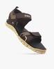 Buy Brown Sandals for Men by XLERATE Online | Ajio.com