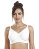 Buy White Bras for Women by DAZZLE Online | Ajio.com