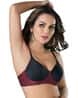 Buy Maroon Bras for Women by DAZZLE Online | Ajio.com