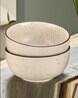 Buy Beige Serveware & Drinkware for Home & Kitchen by BODHI HOUSE ...