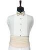 Buy Cream Belts for Men by THE TIE HUB Online | Ajio.com