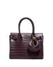 Buy Dark Red Handbags for Women by Aldo Online | Ajio.com